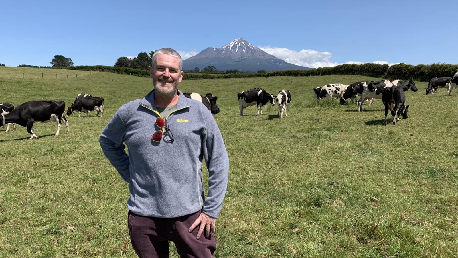 End of an era for Taranaki Holstein Friesian stud - Holstein Friesian ...