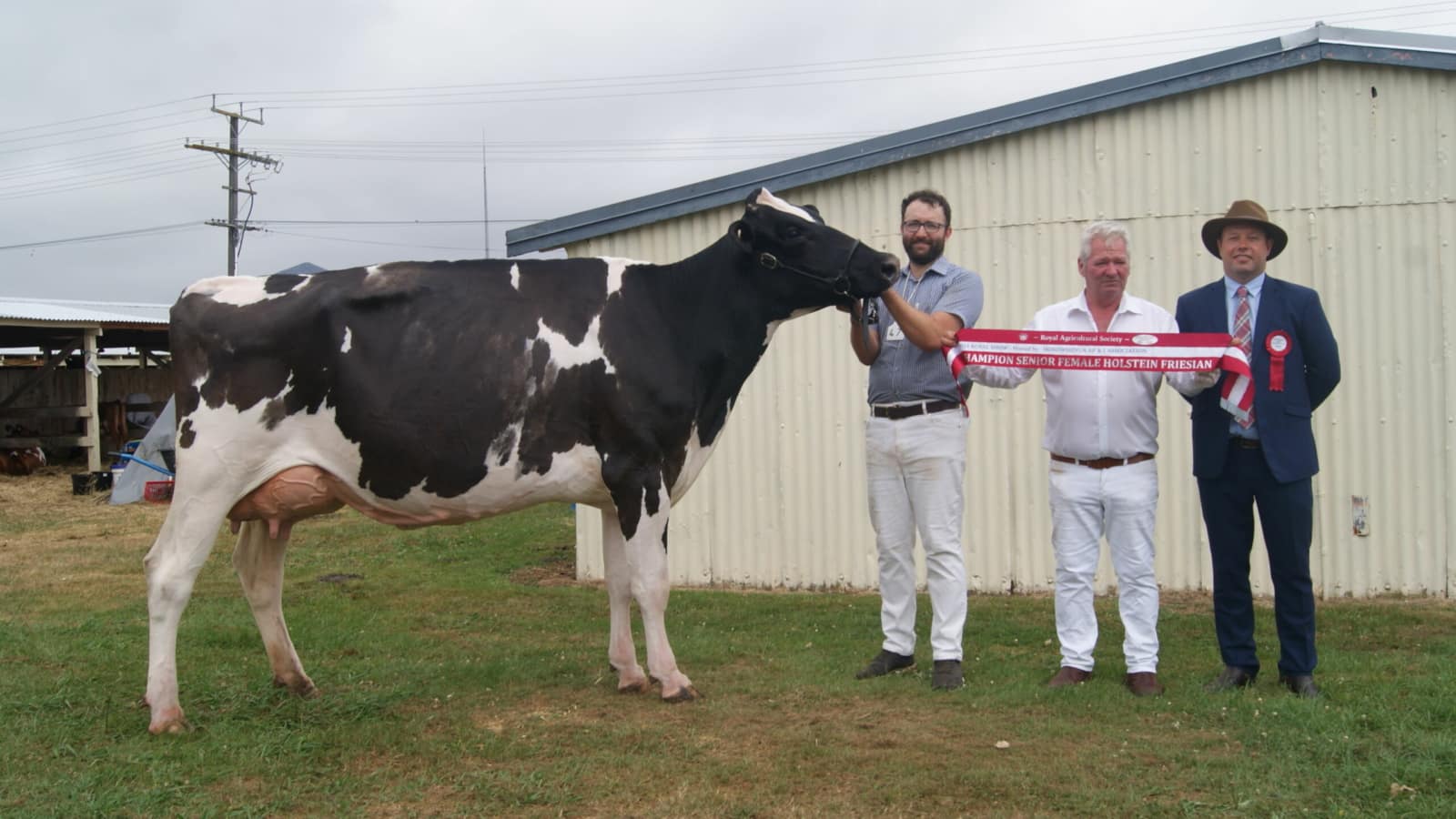 2024 Royal Show Results - Holstein Friesian New Zealand